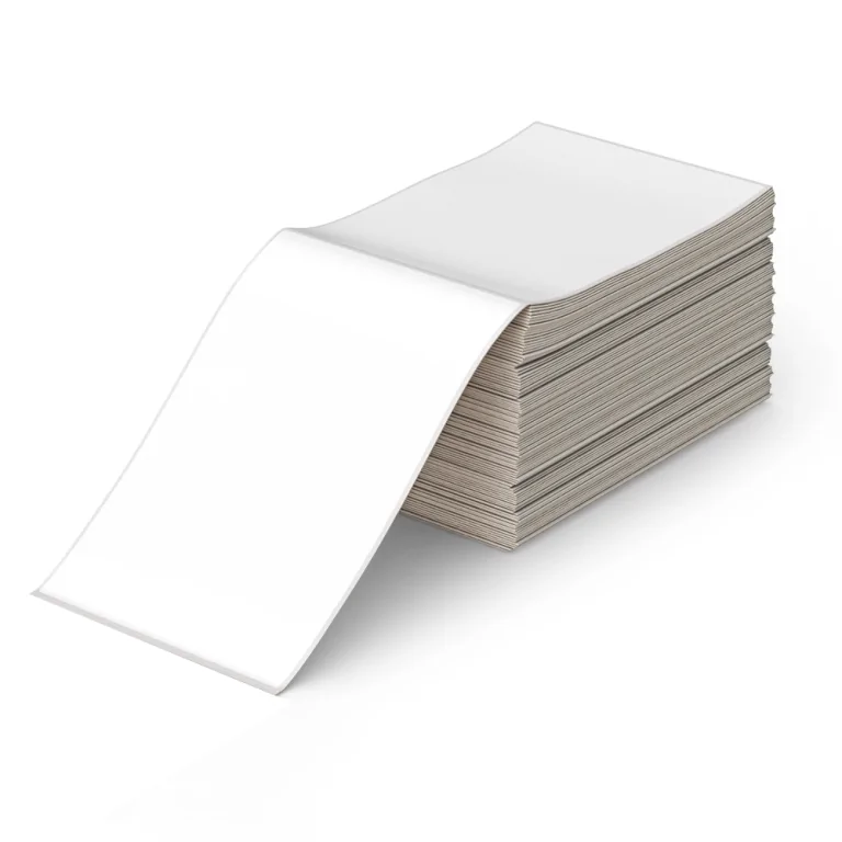 Rollo Bundle - Rollo